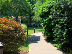 Independent Senior Living | Main Line, Delaware County, PA | Wesley ...