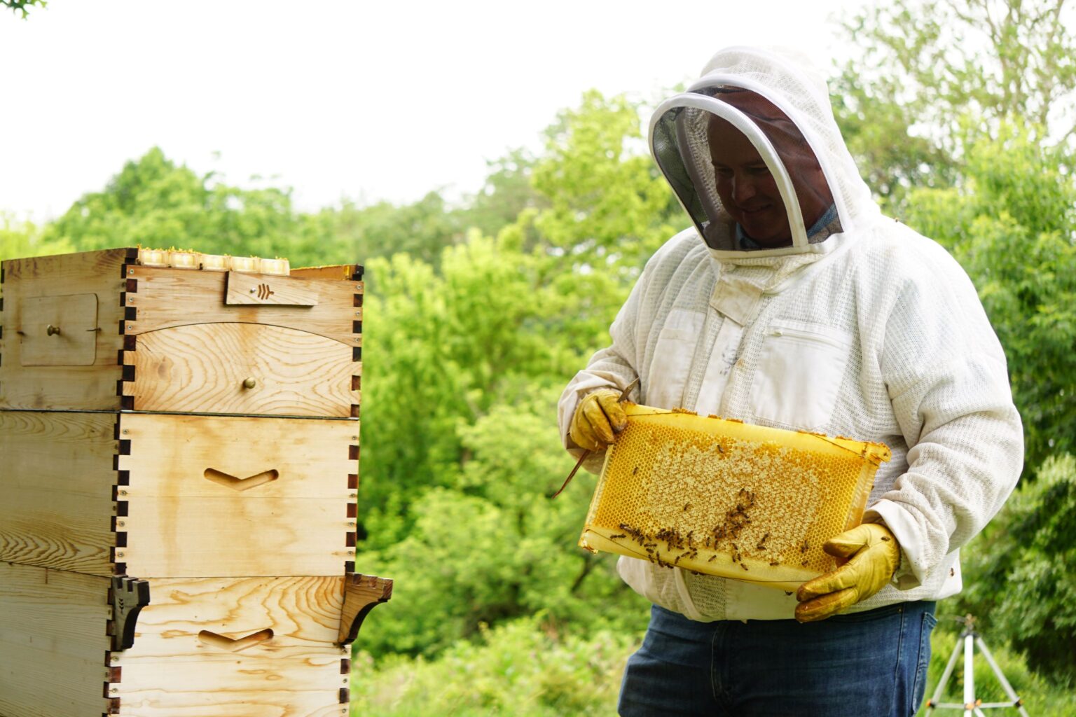 Press Releases & Other News - Wesley Enhanced Living